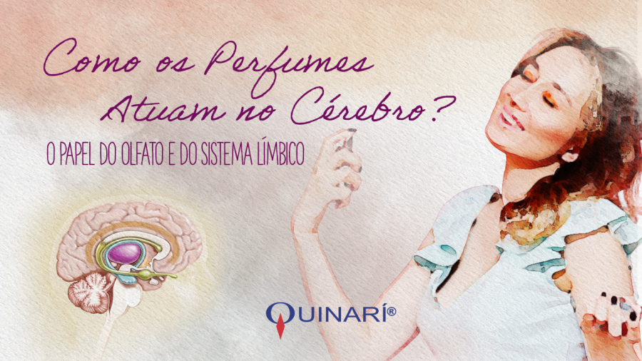 Como os Perfumes Atuam no Cérebro? Sistema Límbico em Ação